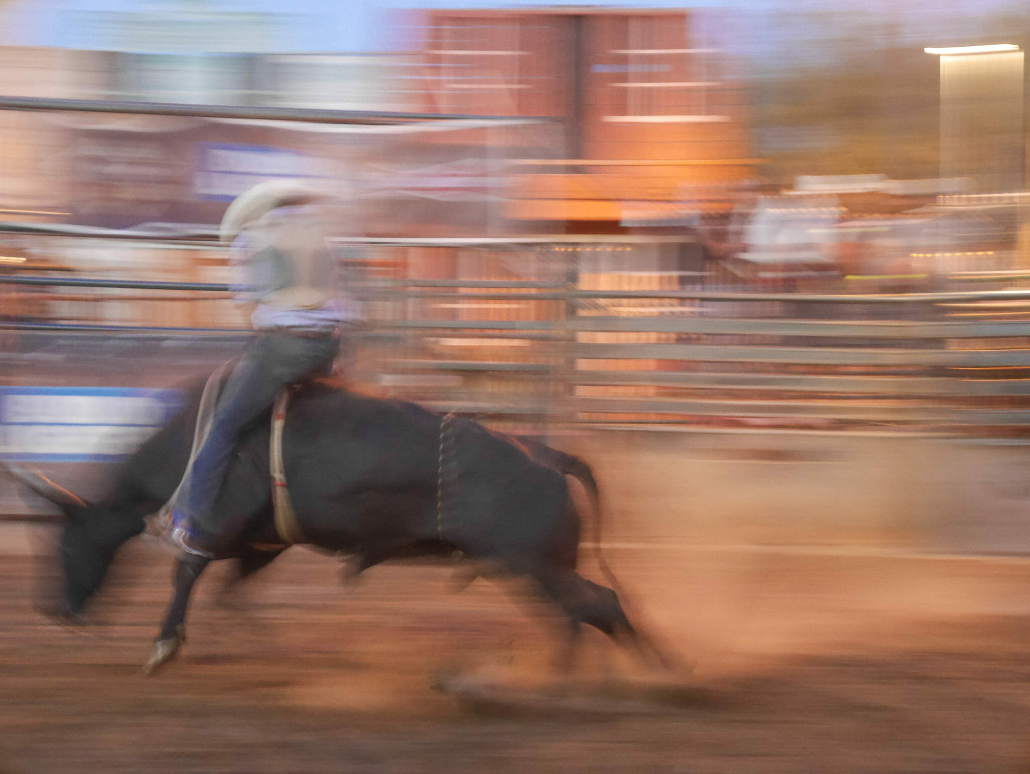 Scottsdale Tour Buffalo Chip Saloon Bull Riding Review