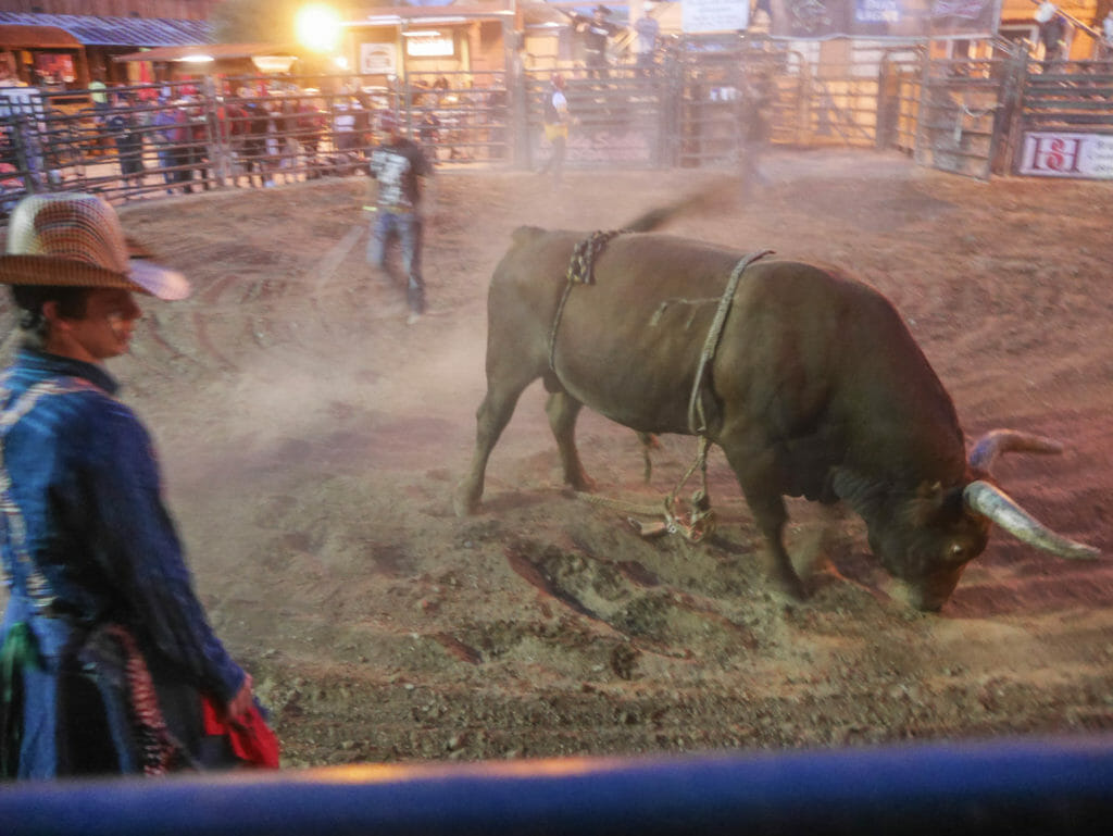 Scottsdale Tour Buffalo Chip Saloon Bull Riding Review