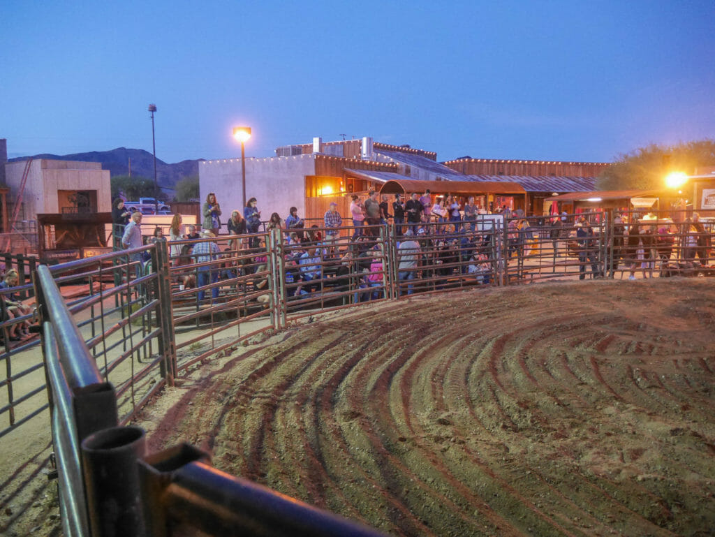 Scottsdale Tour Buffalo Chip Saloon Bull Riding Review