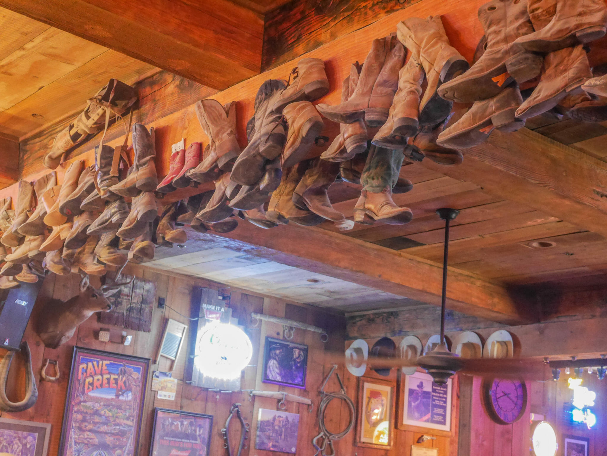 Scottsdale Tour Buffalo Chip Saloon Bull Riding Review