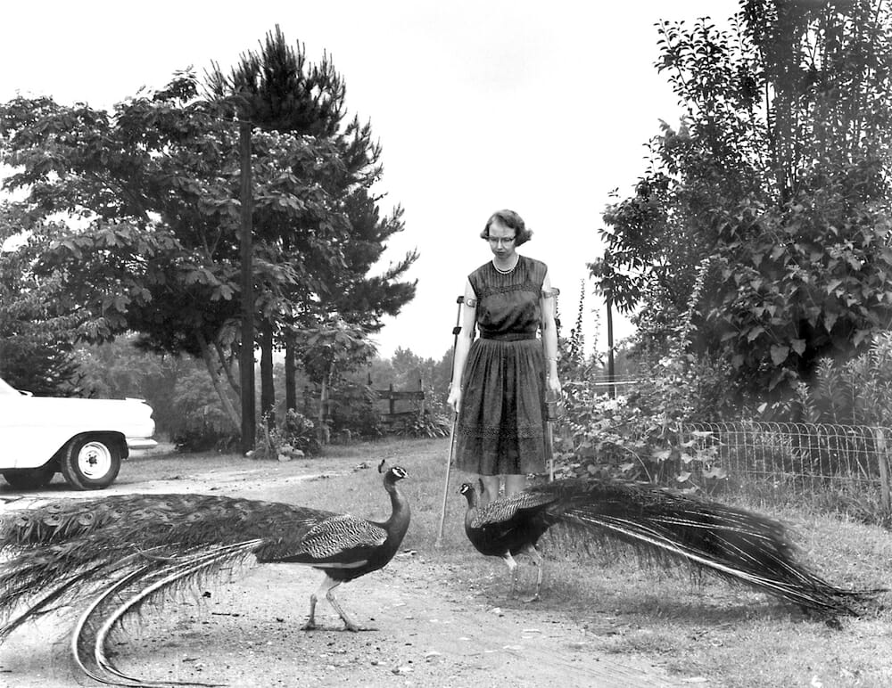 FLANNERY Film Review – Flannery O’Connor’s World